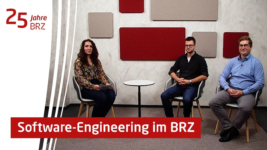 Software-Engineering im BRZ - BRZ